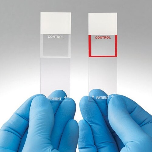 Control Box Slides, Plus Control 3/4", Red (on Front) - 10 Gross ...