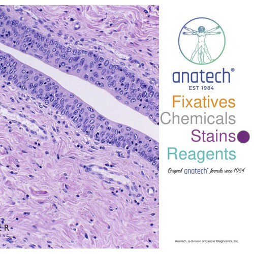 Anatech Stains and Special Stains Brochure