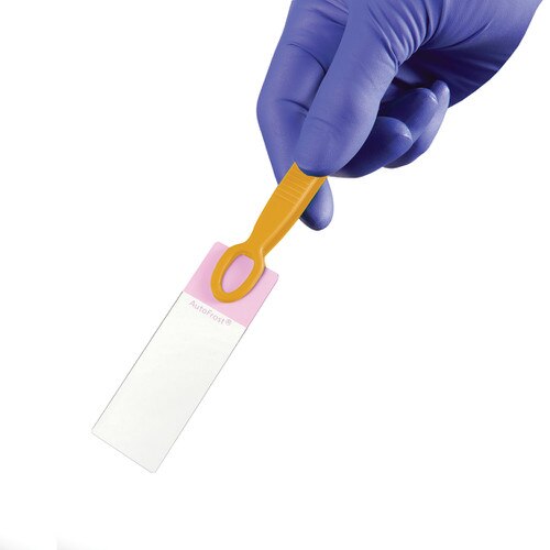 Slide forceps, Extra Wide Grip, Pack of 10 | Cancer Diagnostics Inc.